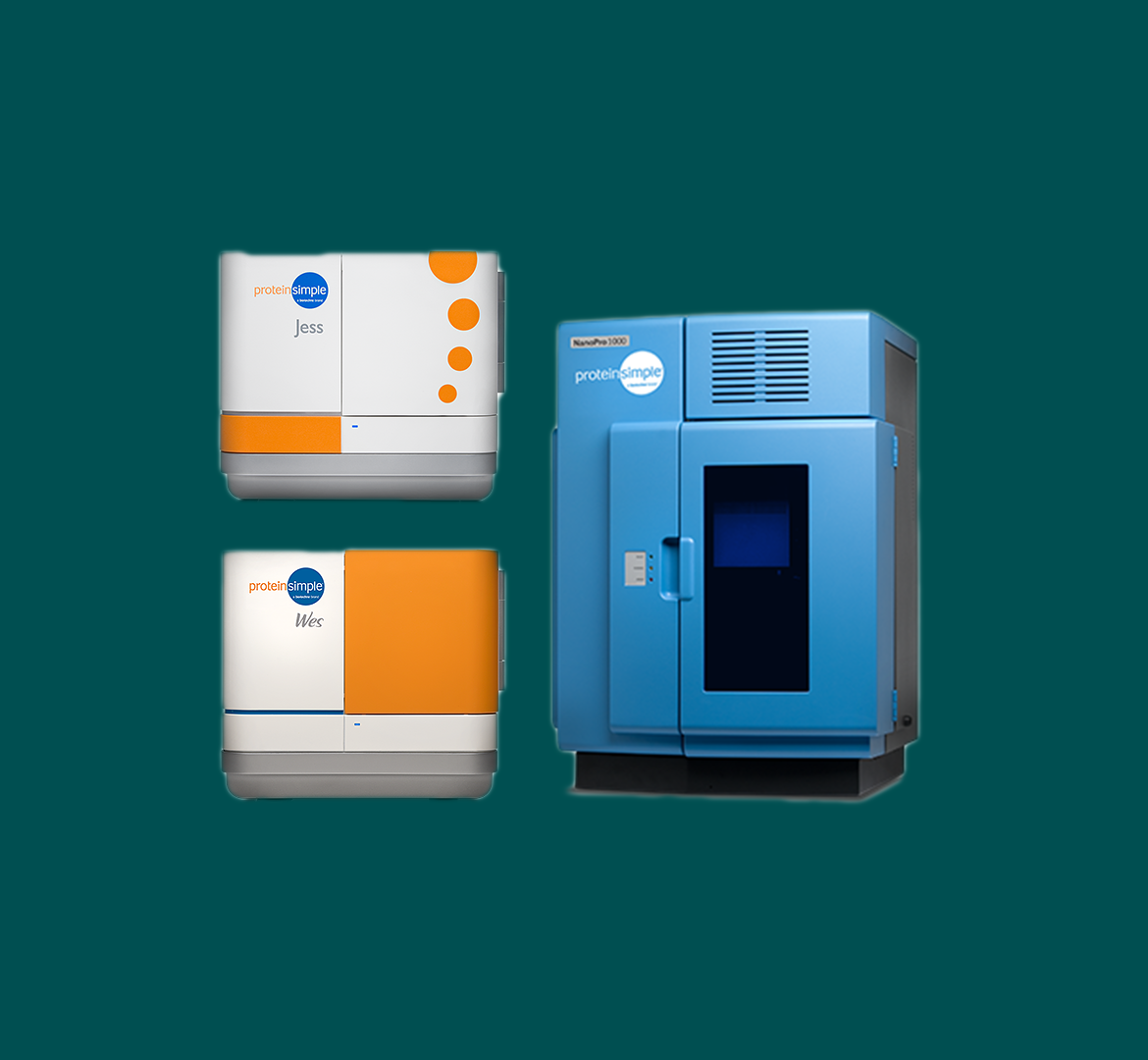 Proteomics - TrendBio