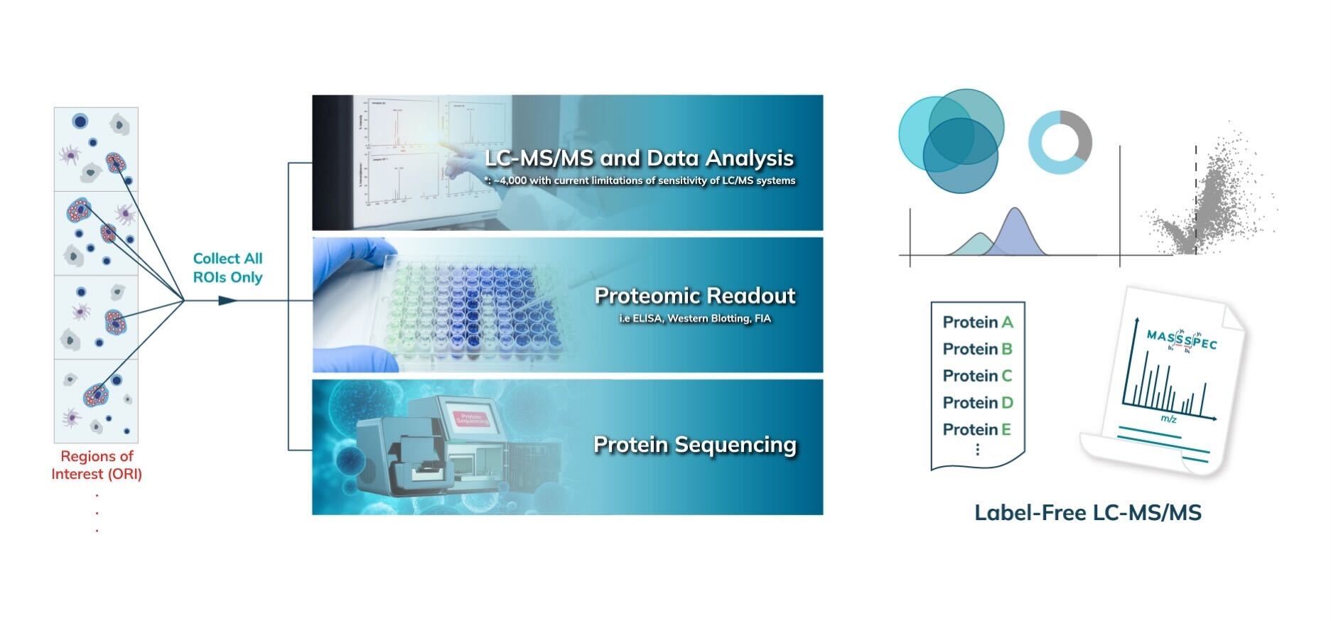 Microscoop Mint - TrendBio